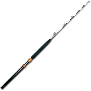 Amazon.com : PENN Tuna Stick Stand Up Casting : Baitcasting Fishing ...