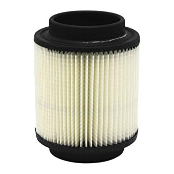Amazon.com: Polaris Air Filter - 1262218: Automotive