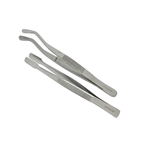 BioQuip Insect Pinning Forceps & Butterfly Forceps, Set of 2 - Want It All