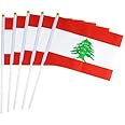 Amazon.com: 25 Pack Hand Held Small Mini Flag Lebanon Lebanese Flag ...