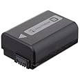 Amazon.com : Sony NP-FW50 Lithium-Ion 1020mAh Rechargeable Battery ...