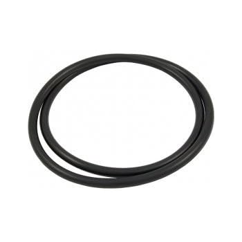 Amazon.com: Pool Filter Tank O-ring For FNS Plus & Quad DE Clean ...