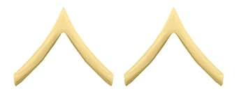 Amazon.com: PV2 Rank Insignia, Enlisted Army: Clothing
