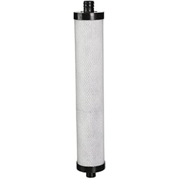 Amazon.com: Frizzlife FZ-2 Replacement Filter Cartridge For MP99, MK99 ...