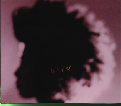 Bird - Bird - Amazon.com Music