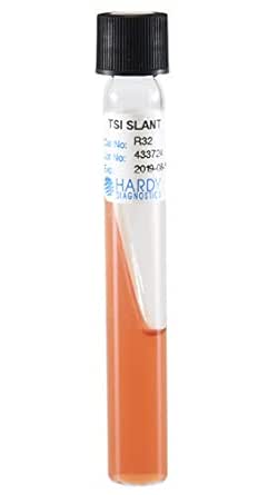 TSI (Triple Sugar Iron) Agar Slant, for the Identification of Enteric ...
