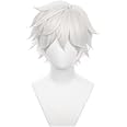 Amazon.com: Ticomoco Gabimaru Cosplay Wig Short Gray White Hair ...