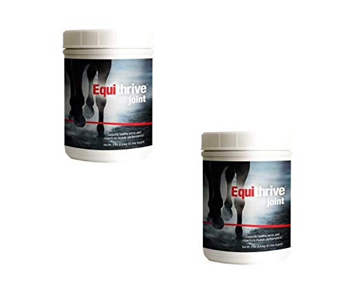 Best Joint Supplement For Horses 2019 Reviews - ASU, MSM, Glucosamine