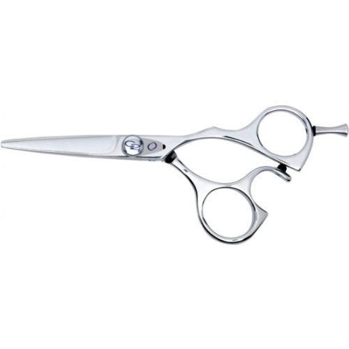 Amazon.com : Centrix C2-575 Series Professional Offset Shears, 5.75 ...