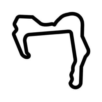 Amazon.com: Auto Club Speedway Decal Sticker Outline Vinyl Race Track ...