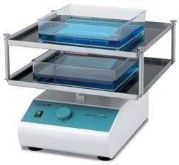 Labnet International S2025-D-B Labnet ProBlot Rocker 25D with 26 cm x ...