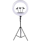 teslong telescopic camera light 45 Price in Egypt | kanbkam