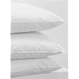 Amazon.com: Sleep Blueprint - New Generation® Pillows by TY Group ...