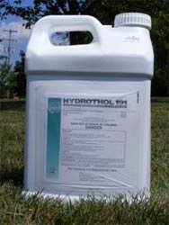 Amazon.com: Hydrothol 191 Aquatic Herbicide with Endothall for ...