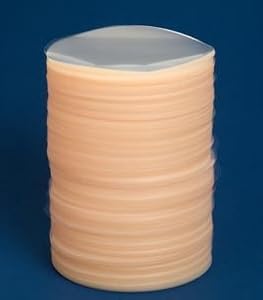 5" Cellophane Burger Discs -1000 Per pack (GBS): Amazon.co.uk: Grocery