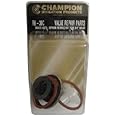 Amazon.com: Champion Valve Rebuild Kit 3/4 " Anti-Siphon Valve Carded ...
