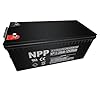 NPP Power NP12-200Ah AGM Rechargeable Battery, Deep Cycle Battery UB4D ...