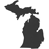 Amazon.com: Pack of 3 Michigan State Stencils Made from 4 Ply Mat Board ...