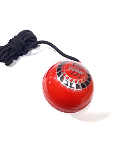 Storite Sports Synthetic Hanging Cricket Ball with Rope for Knocking ...