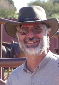 Programming in SCHEME: Learn SHEME Through Artificial Intelligence Programs: Watson, Mark ...