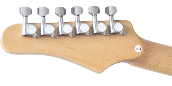 Mua STAGE EVOLUTION PLAYTECH Electric Guitar, TL Type, Maple White trên Amazon Nhật chính hãng ...