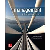 Management: A Practical Introduction: Kinicki, Angelo, Breaux Soignet ...