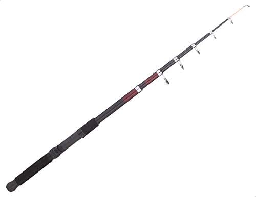 DAIWA Storm Fishing Rod 3 meters Black price in Egypt | Amazon Egypt ...