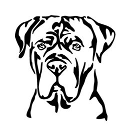 Cane Corso Head Decals Dog Head car bumper sticker Amberdog: Amazon.co ...