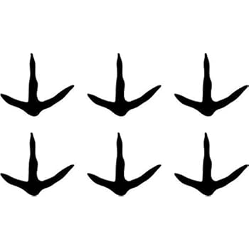 Amazon.com: Designer Signs Deer Track Decals - Set of 12: Automotive