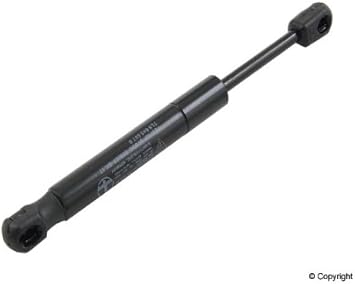 Amazon.com: Genuine 95551252800 back glass lift support: Automotive