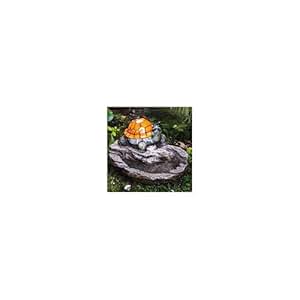 Amazon.com: coleman cable inc 91516di Solar Turtle In A Bird Bath, 1 ...