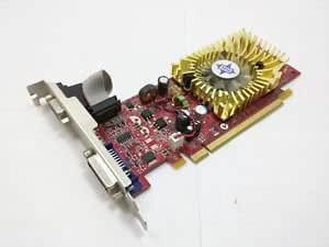 MSI V116 GeForce 8400 GS 256 MB PCI-E Graphics CARD- N1996: Amazon.com ...