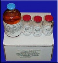 Low Risk Media Fill Test Kit: Amazon.com: Industrial & Scientific