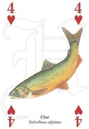 Heritage Playing Cards – Fish Varieties – Playing Cards – BigaMart