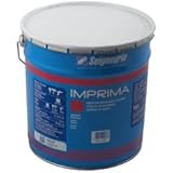 Peinture Seigneurie Pantex 900 Blanc 15L: Amazon.fr: Bricolage