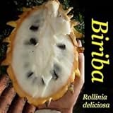 Biriba - How to grow & care