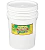 Best Maid Dill Pickle 60-80 Count 5 Gallons | Foodservice Bulk ...