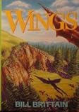 Wings: Christopher Myers: 9780590033770: Amazon.com: Books