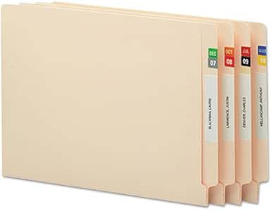 Amazon.com : Monthly End Tab File Folder Labels, Assorted Colors, 250 ...