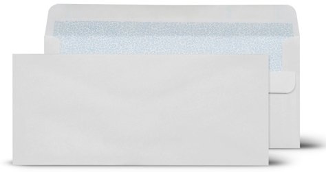 Amazon.com : #10 Envelopes Flip and Seal- Security Tinted Self Seal ...