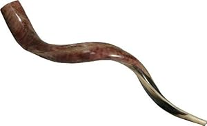 Shofar Kosher Yemenite Horn Instrument Natural Shoffar Shophar schofar ...