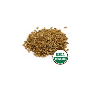 Amazon.com : Organic Barley Seeds - 25 Lbs - Whole (Hull Intact ...