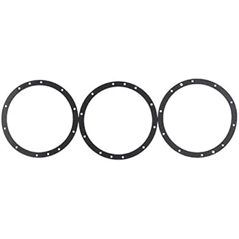 Amazon.com: Pentair 79206000 Sealing Ring Replacement Small Stainless ...
