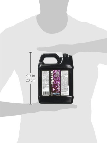 Brightwell Aquatics Restor - Liquid Coral Tissue Nutritional Supplement ...
