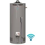 Rheem 22V50F1 Natural Gas Water Heater, 50 Gallon - Rheem Hot Water ...