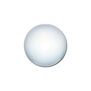 Amazon.com: Beachballs - 16'' Solid White Beach Balls: Sports & Outdoors