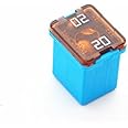 Amazon.com: Littelfuse 0895020.Z 895 Square Car Fuse 20A Low Profile ...
