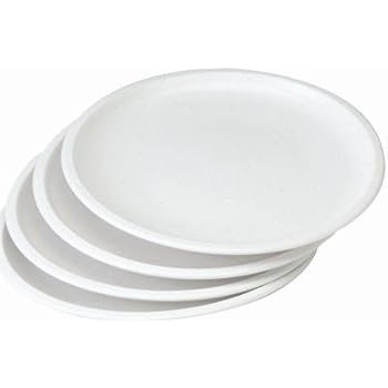 Amazon.com: Nordic Ware Set of 2 10 Inch Microwave Dinner Plates ...