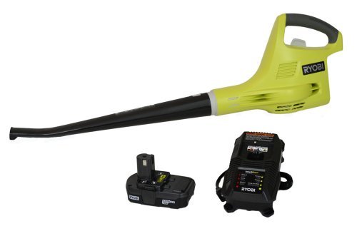 Ryobi Leaf Blower Vac Cordless | Leafbloweri