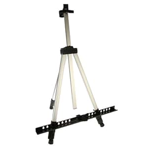 Amazon.com : Daler-Rowney Simply Portable Field Easel : Office Products